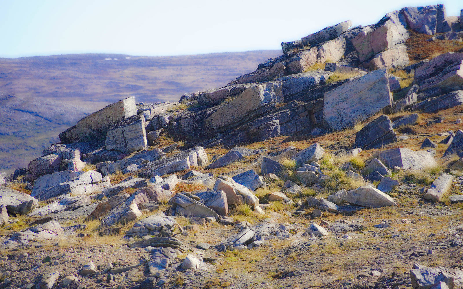 Damon on road | Mine Raglan Nunavik | damononroad